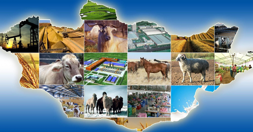 Хөдөө аж ахуйг дэмжих 500 тэрбумын зээлийг арилжааны банкаар олгоно Epress Mn